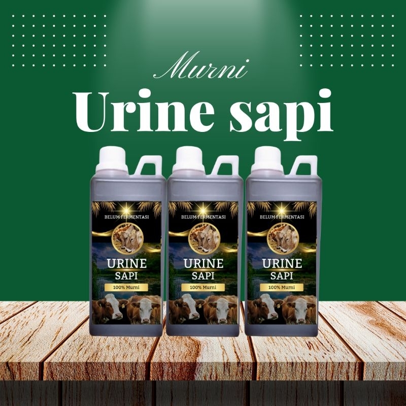 Jual Urin Sapi Murni Mentah 1 Liter | Shopee Indonesia