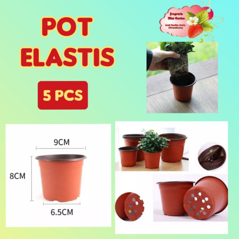 Jual (5 pcs) Pot tanaman Elastis no ukuran pot : 100 | Shopee Indonesia