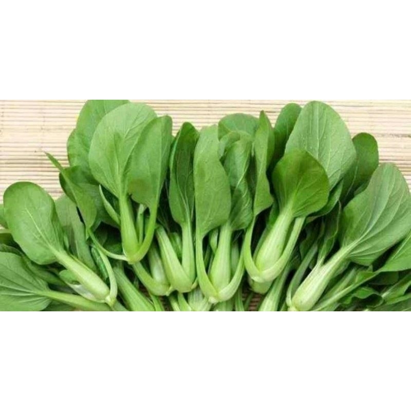 Jual Pakcoy segar | Shopee Indonesia