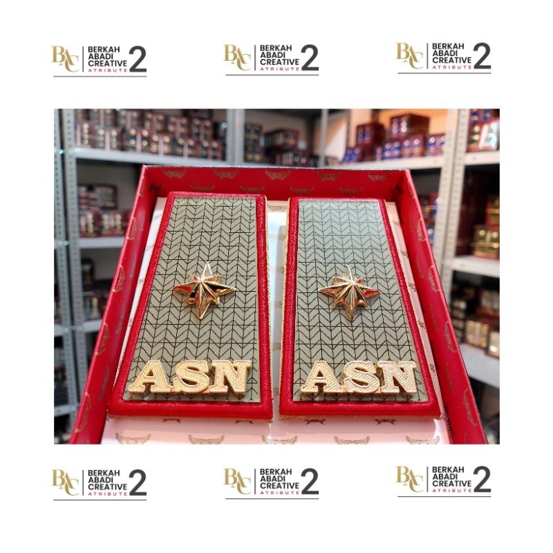 Jual PANGKAT ASN SUMSEL GOLONGAN 4C LIS MERAH - BAC ATRIBUT | Shopee ...