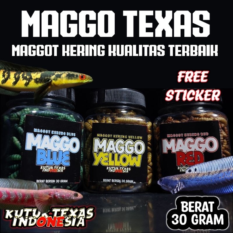 Jual MAGGO Maggot Kering Red, Blue, Yellow Made Kutuk Texas Indonesia ...