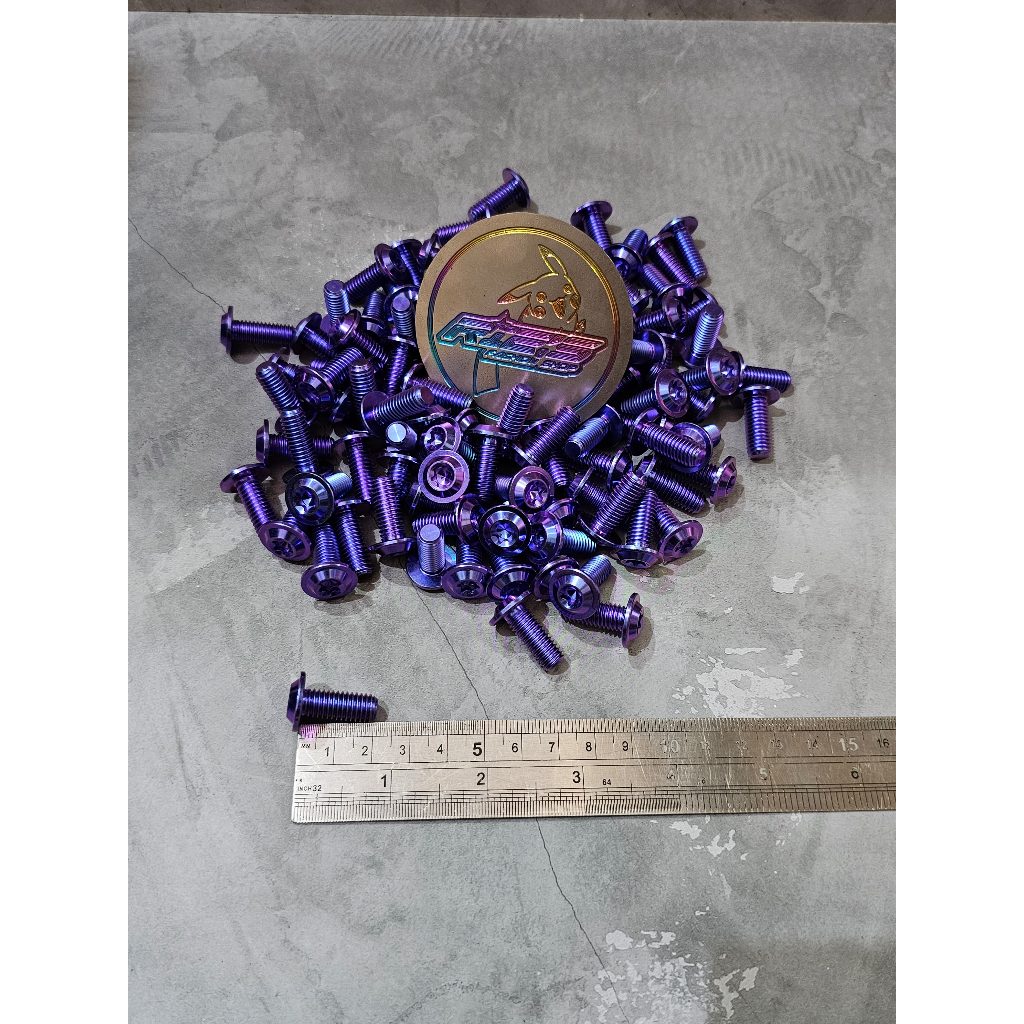 Jual Baud disc titanium M8x20 dan M8x25 GR5 made in vietnam | Shopee ...