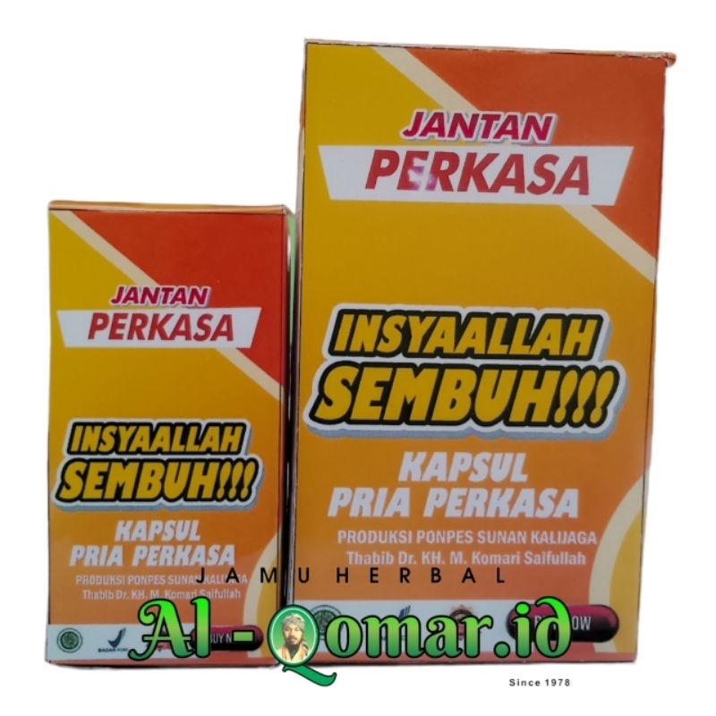 Jual PAKET Obat Ejakulasi Dini Tahan Lama Pria Permanen (Kapsul Perkasa ...