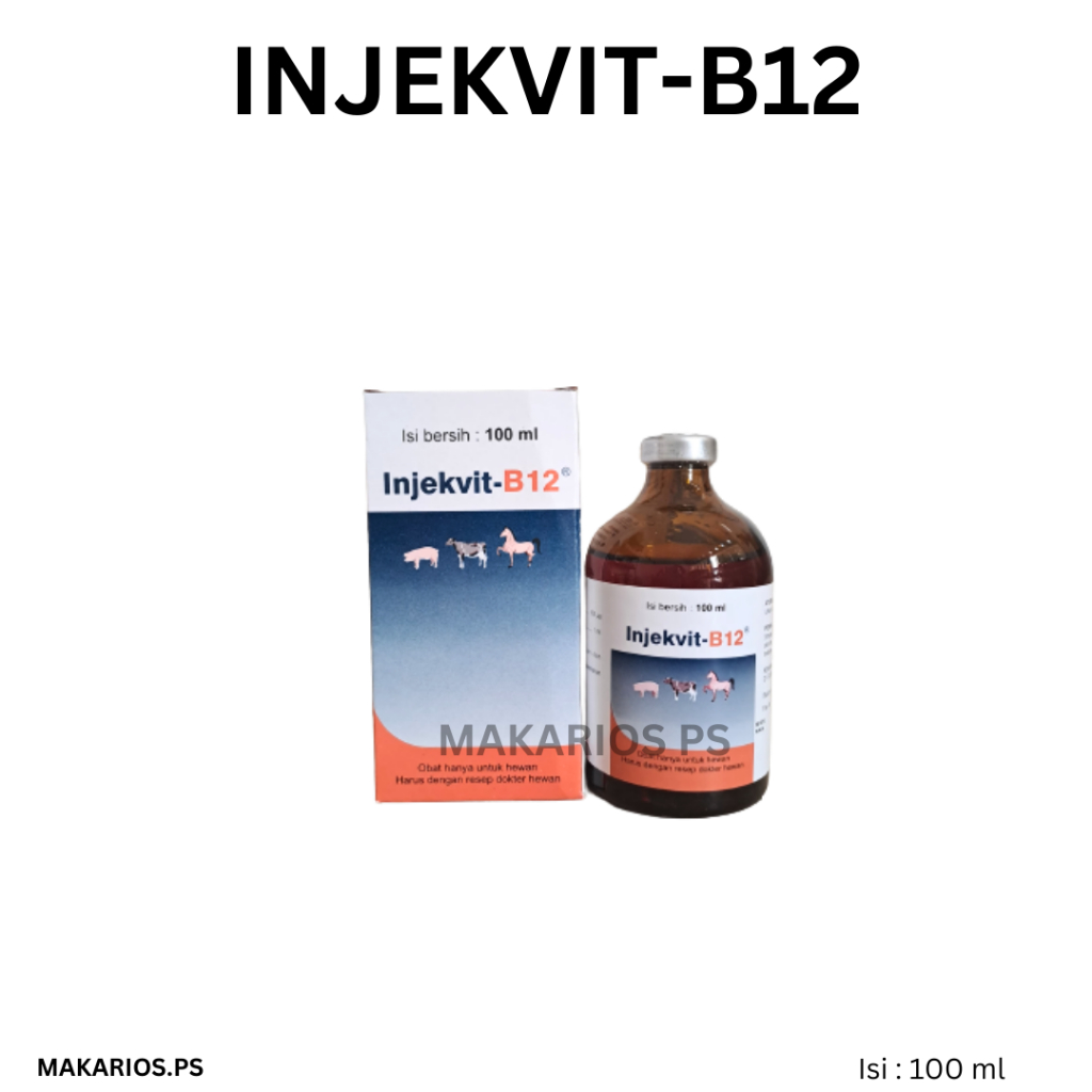 Jual Injeksi Injekvit B-12 100 ml Perbaiki pertumbuhan dan produksi ...