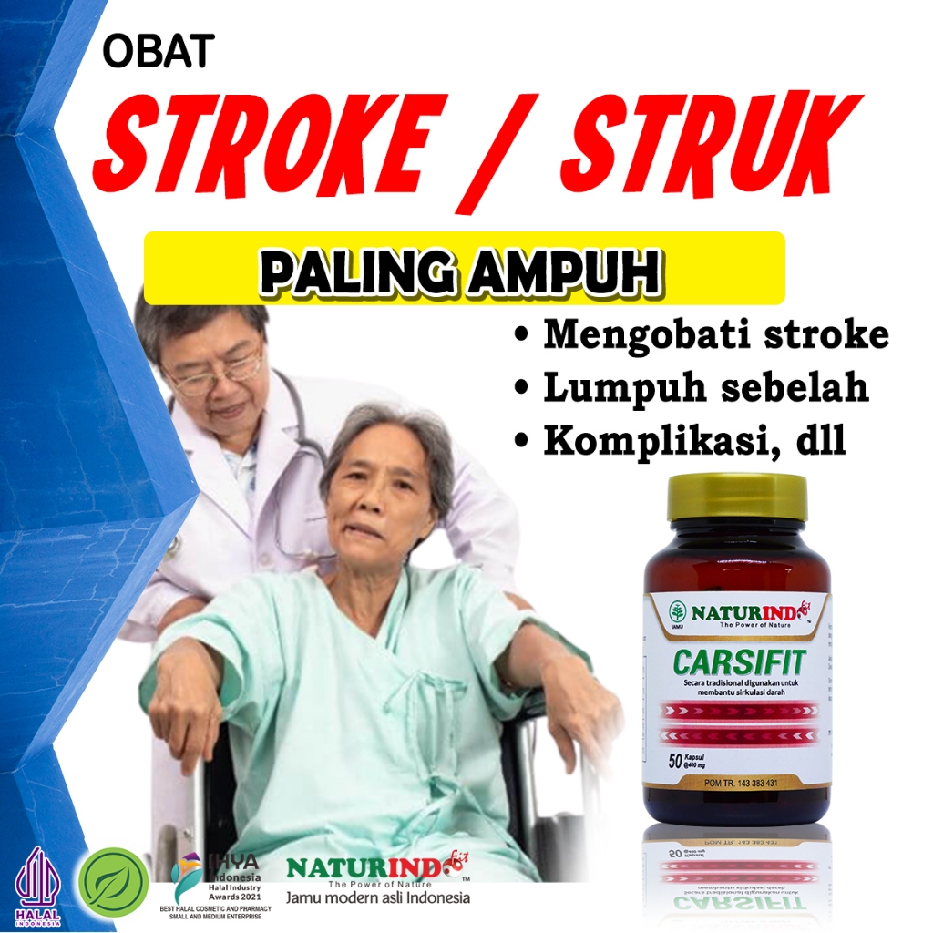 Jual Obat Stroke Struk Ringan Berat Lumpuh Sebelah Paling Ampuh ...