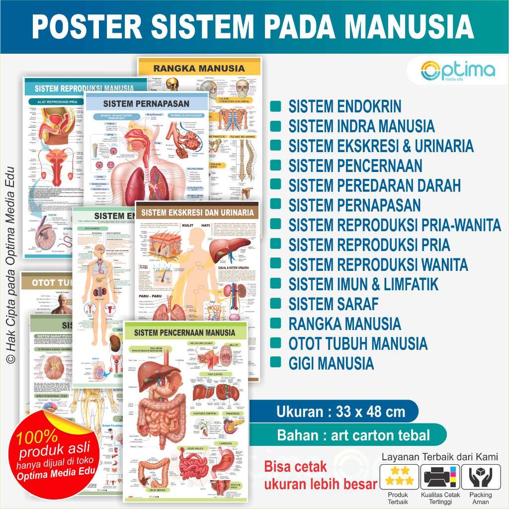 Jual Poster Carta Anatomi Sistem pada Manusia : Endokrin, Indra, Ekskresi, Pencernaan, Peredaran ...