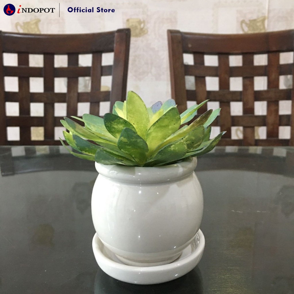 Jual Pot Keramik Kaktus Sukulen Mini Lucu Gemoy Belanga Plus Tatakan ...