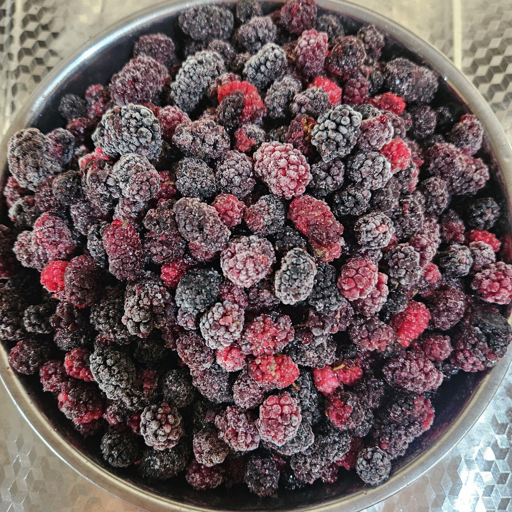 Jual Blackberry Frozen 1kg Mulberry Frozen 1 kilogram Buah Blackberries ...