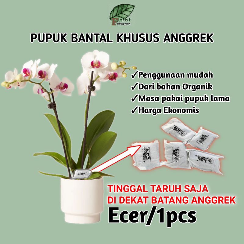 Jual Pupuk Bantal Anggrek Orchid Food RanSoil /pcs | Shopee Indonesia