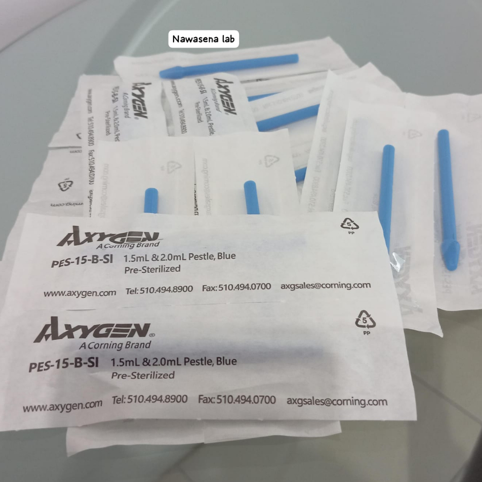 Jual Tissue Grinder Plastik Pestle Sterile for Sample Homogenizer ...