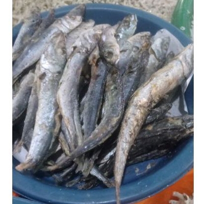 Jual IKAN ASIN LAYANG REBUS IKAN ASIN JAPUH PEDA 250 GRAM | Shopee ...