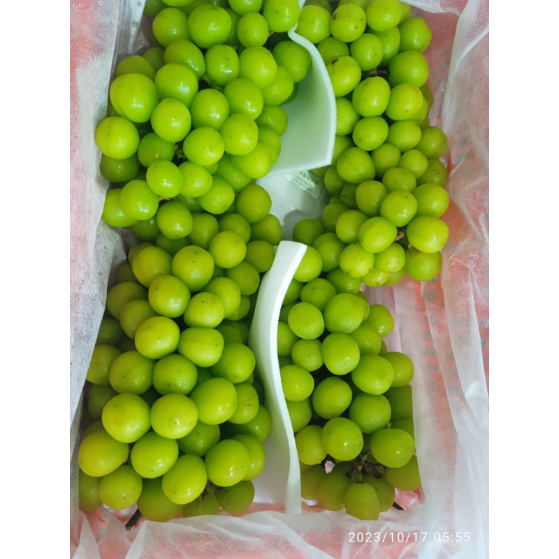 Jual ANGGUR MUSCAT 1KG | Shopee Indonesia