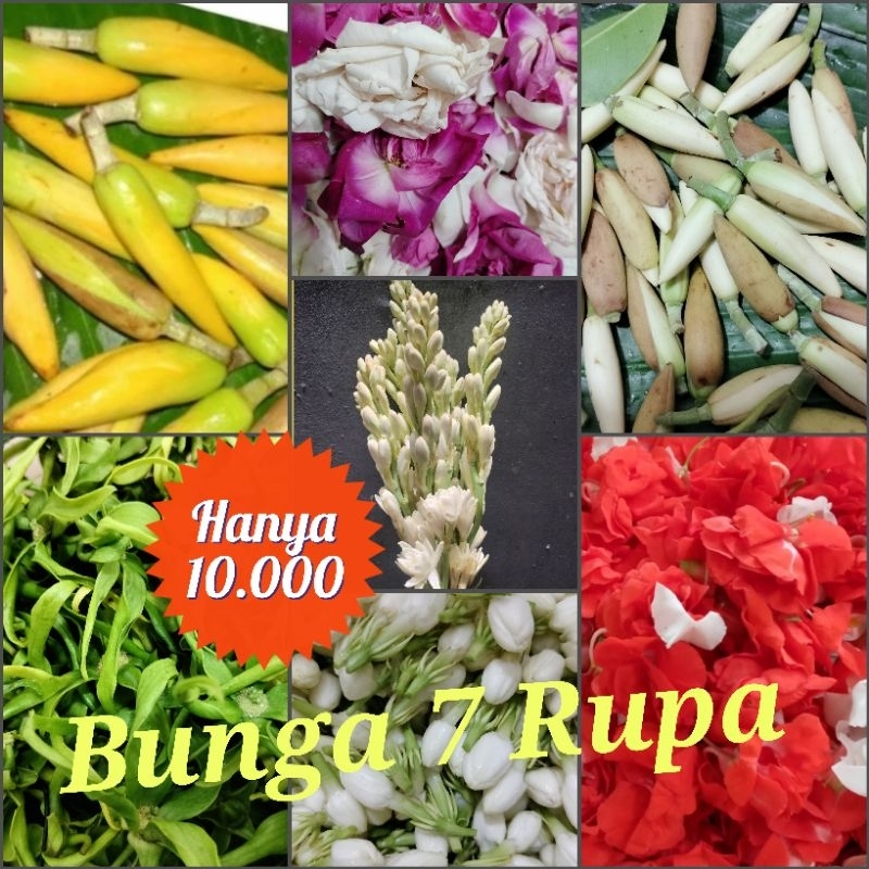 Jual kembang 7 rupa kembang wangi bunga tujuh rupa paket murah | Shopee ...