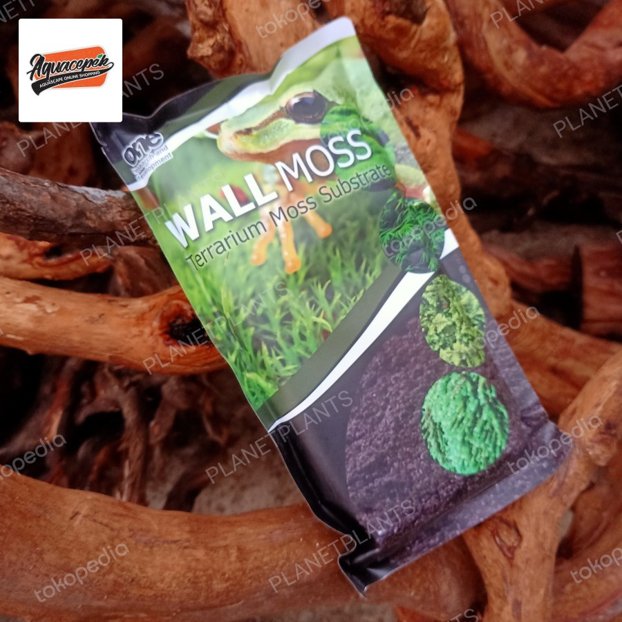 Jual WALL MOSS TERRARIUM SOIL SUBSTRATE MEDIA TANAM PALUDARIUM | Shopee ...