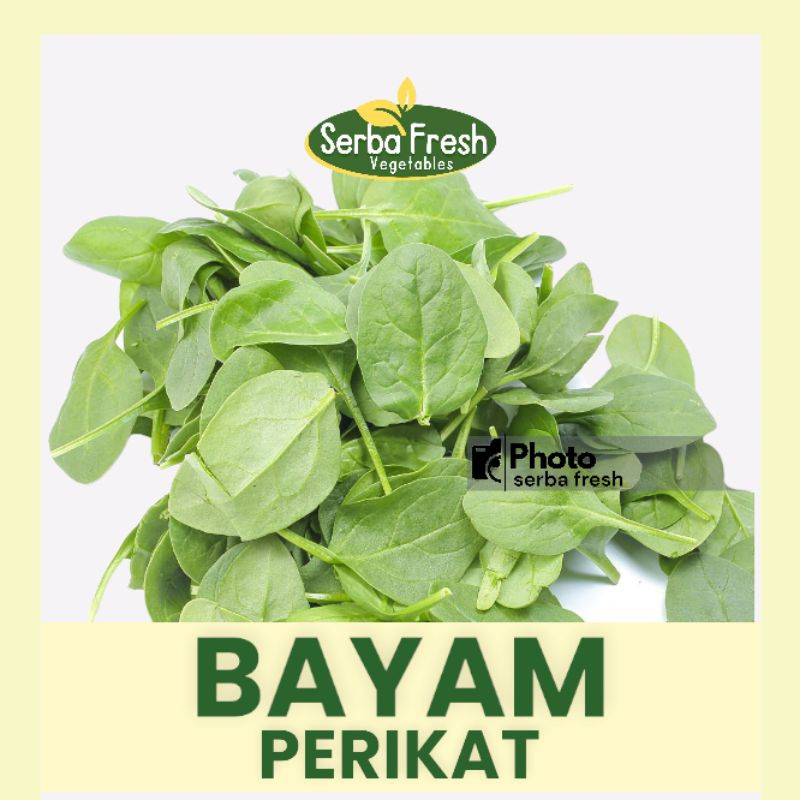 Jual BAYAM | 1 IKAT | SERBA FRESH | Shopee Indonesia
