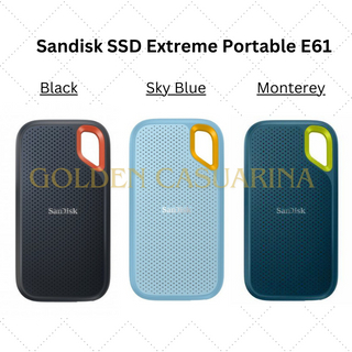 Jual Sandisk SSD Extreme External Portable E61 1TB USB C 3.2 | Shopee Indonesia