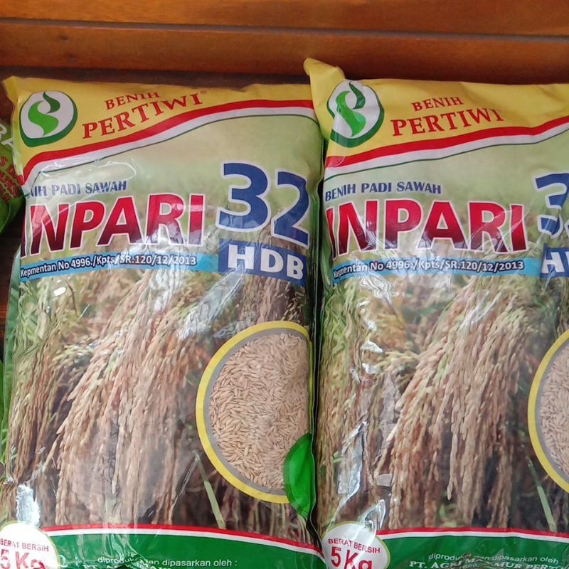 Jual benih padi Inpari 32 pertiwi | Shopee Indonesia