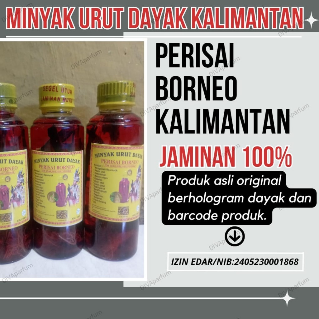 Jual MINYAK URUT DAYAK OBAT GOSOK KALIMANTAN 250 ML | Shopee Indonesia