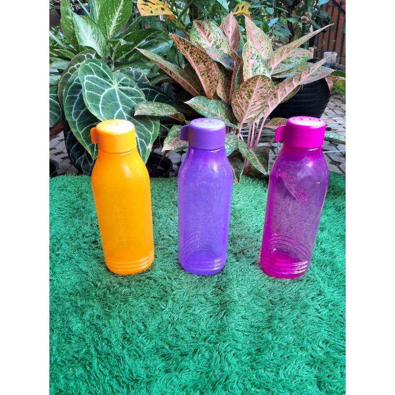 Jual TUPPERWARE Botol Groovy 750 ml harga 1 pc | Shopee Indonesia
