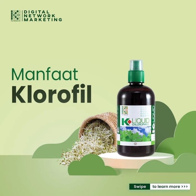 Jual liquid clorofil 500 ml klink | Shopee Indonesia