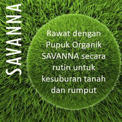 Jual Cuma satu hariF0r5Q Pupuk Rumput / Rumput Gajah / Rumput Jepang ...