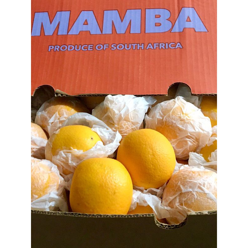 Jual Jeruk Valencia Mamba / kg | Shopee Indonesia