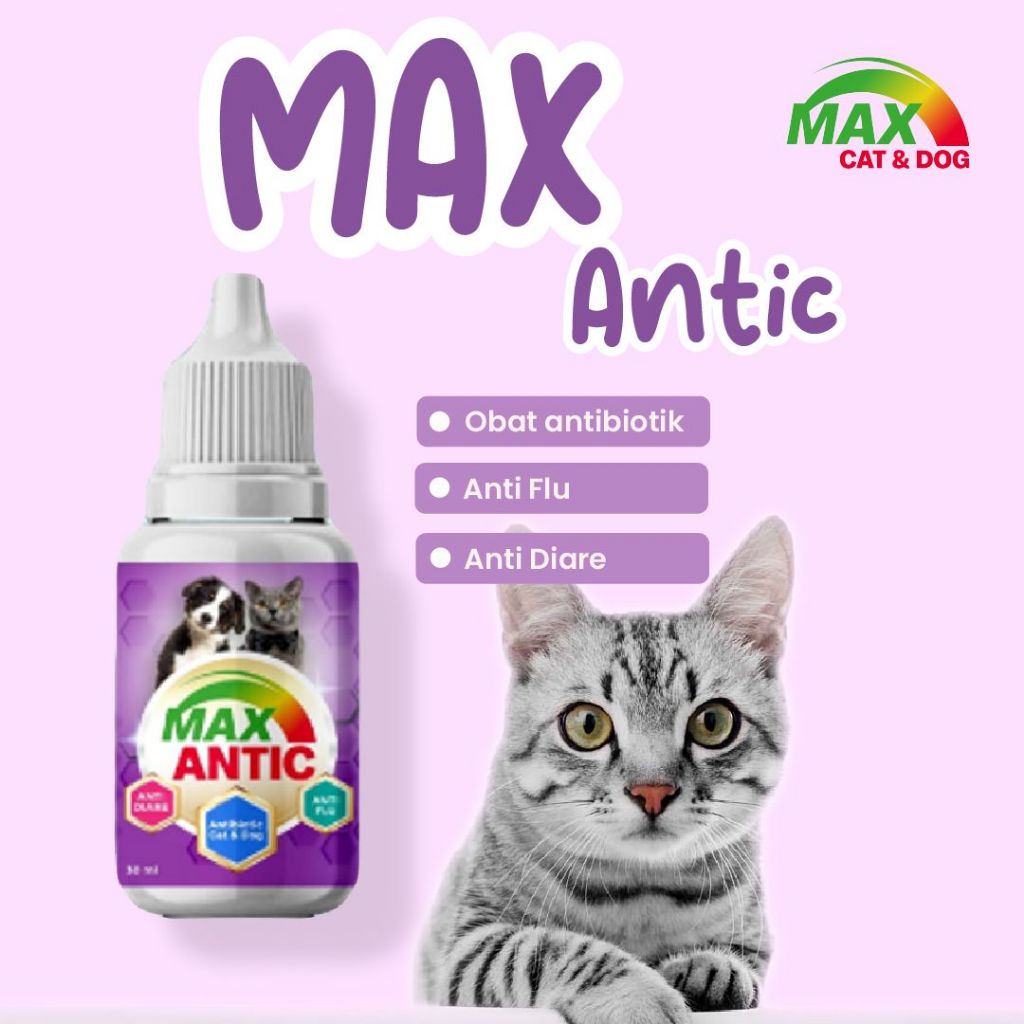 Jual MAX ANTIC 30 ml | Obat Antibiotik Untuk Kucing dan Anjing Diare ...