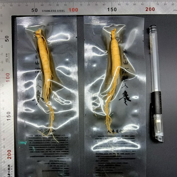 Jual (COD) Fresh Ginseng root vacuum pack / Akar Ginseng Segar Kemasan ...