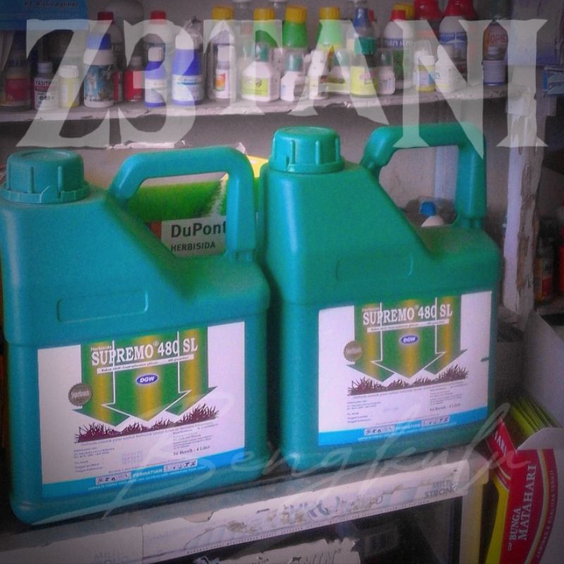 Jual SUPREMO 480 SL 4L Herbisida Sistemik Tuntas Sampai Akarya | Shopee ...
