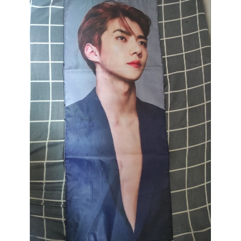 Jual SLOGAN OH SEHUN EXO/NCT DREAM/NCT 127/WAYV/BTS/ENHYPEN/TREASURE/TWICE/BLACKPINK | Shopee ...
