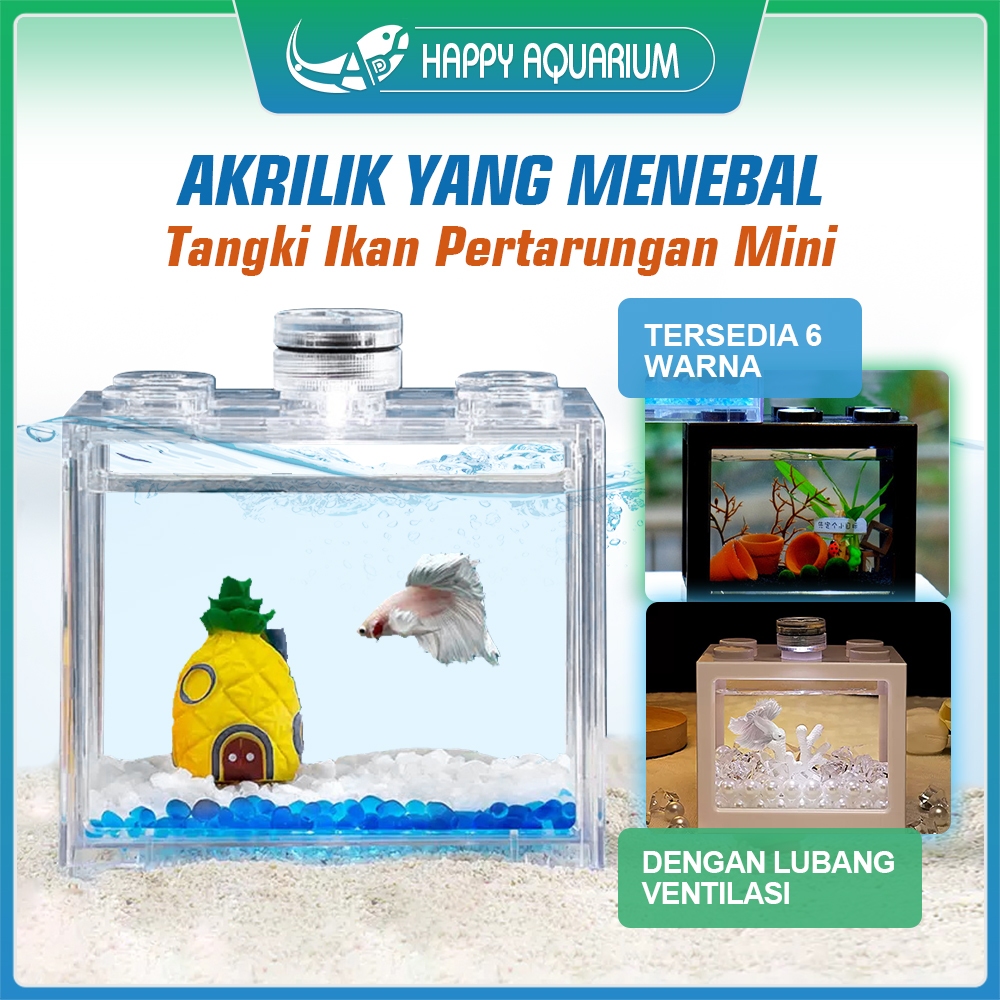 Jual Aquarium Mini Cupang 12x8cm Akrilik Akuarium Block Ikan Hias Emas ...