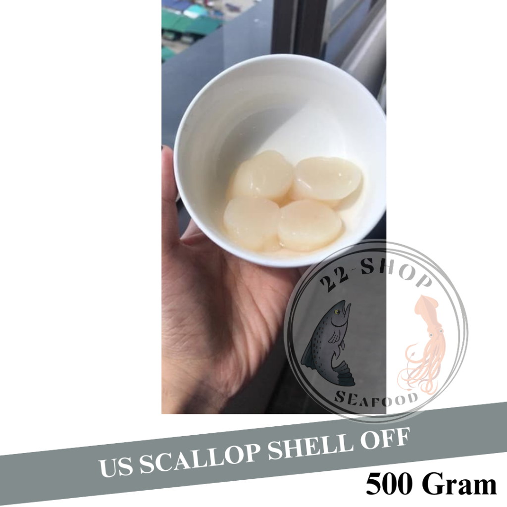 Jual USA SCALLOP SHELL OFF 500GRAM / KERANG KAMPAK / SCALLOP FROZEN ...