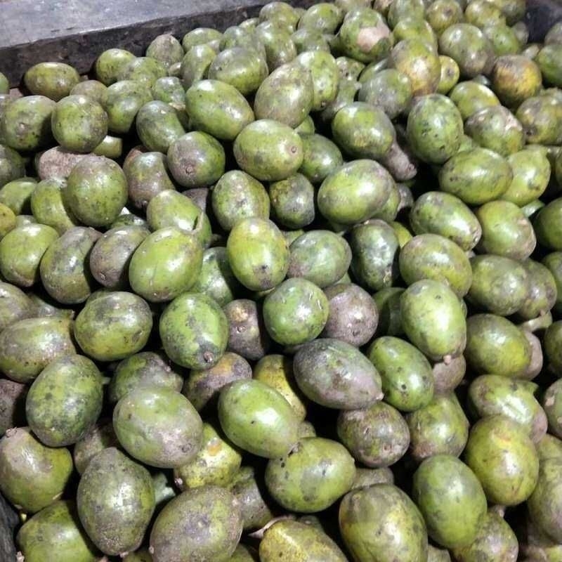 Jual Buah Kedondong | 500 gram fresh | Shopee Indonesia