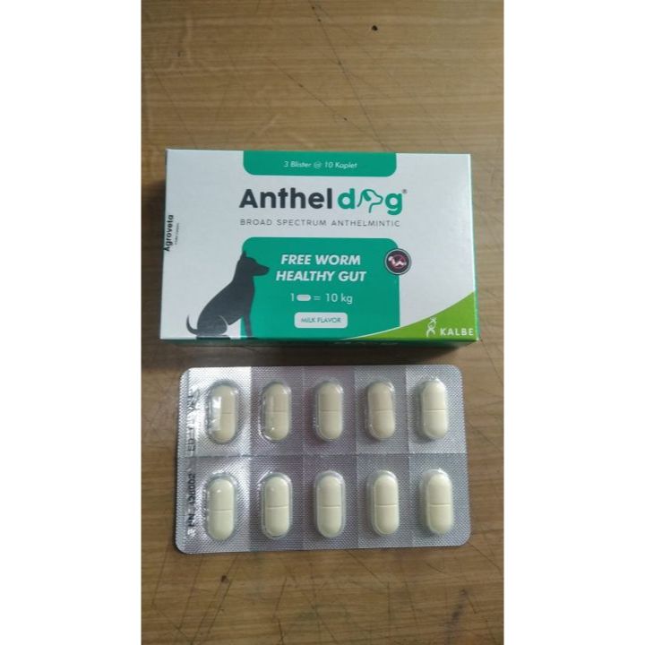 Jual ANTHEL DOG 1 TABLET (KEMASAN BLISTER)- Obat cacing anjing like ...