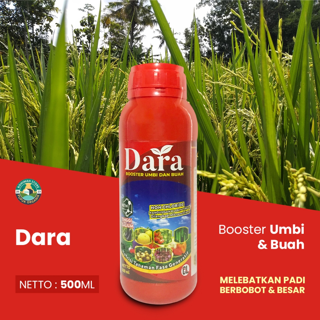 Jual pupuk cair organik padi DARA booster umbi dan buah tanaman padi - padi jadi lebih berbobot ...