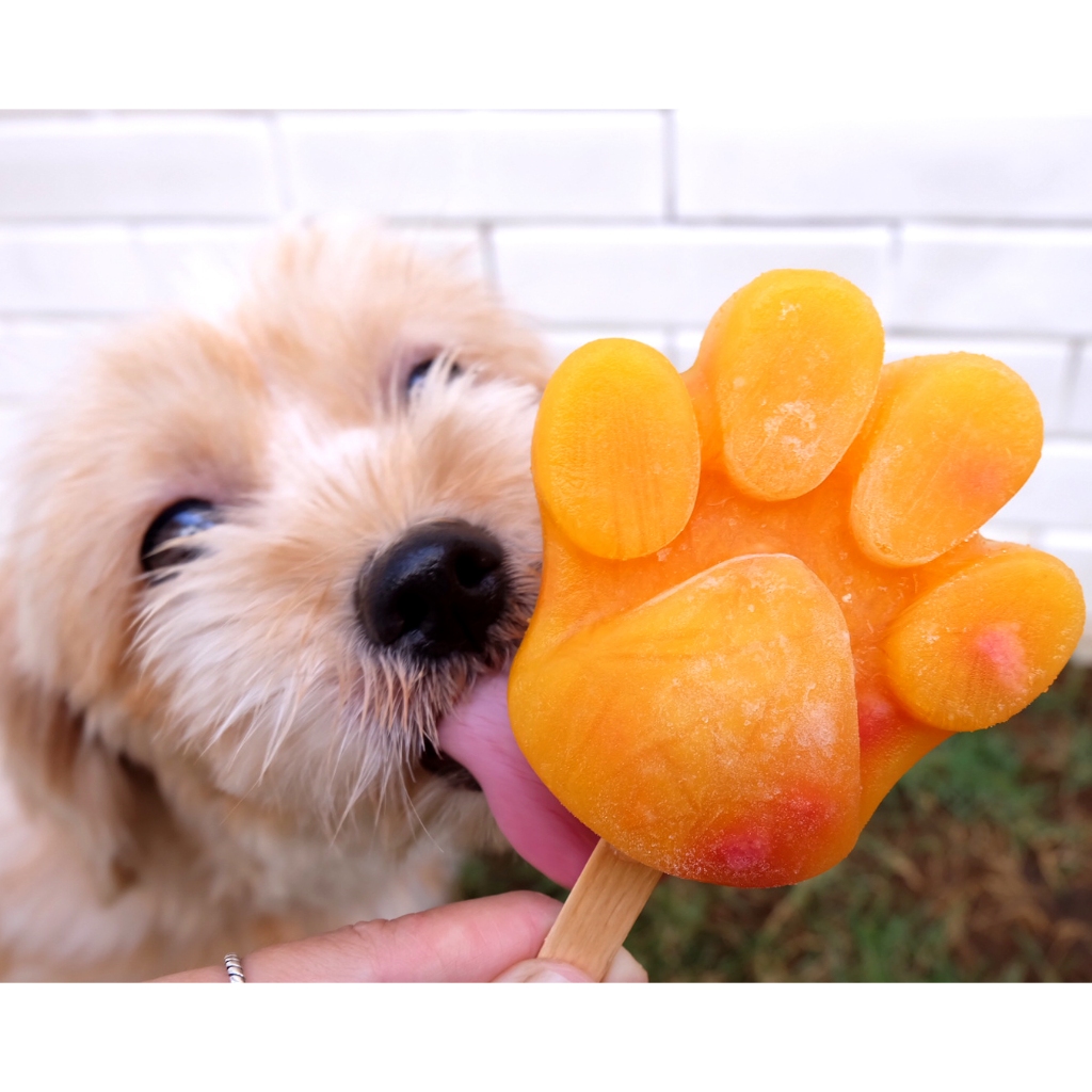 Jual Pupsicle (Dog Popsicle) | Shopee Indonesia