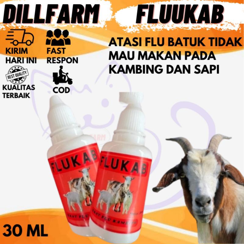 Jual obat batuk kambing - obat pilek kambing - pneomonia ternak hewan ...