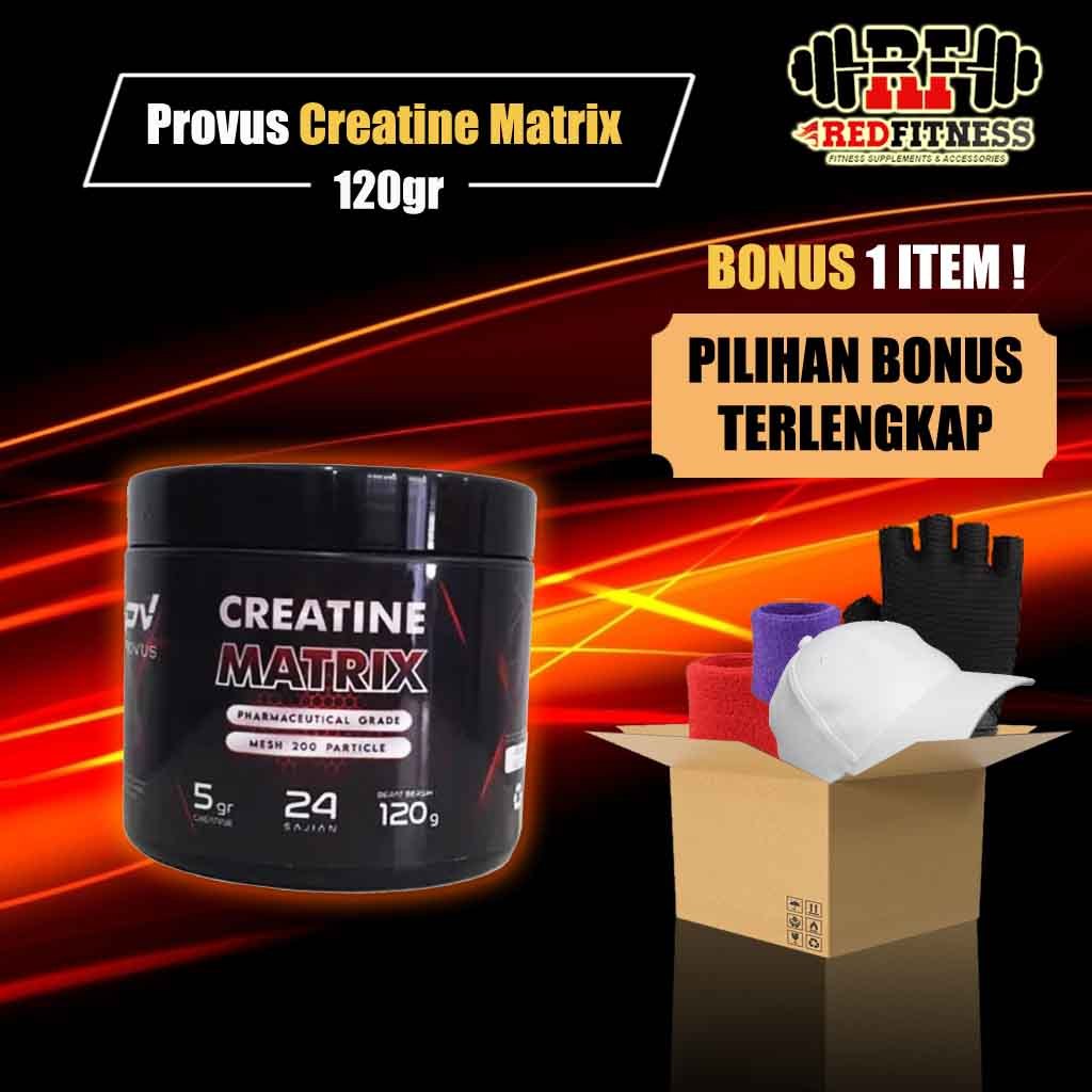 Jual Provus Creatine Matrix 120gr (24 Serving) BPOM / 120 Gram | Shopee ...
