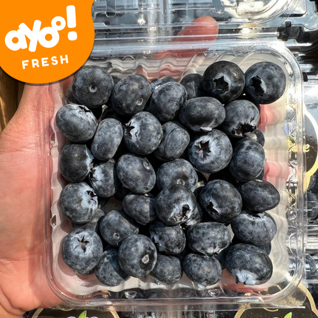 Jual Blueberry 125 g Pack | Shopee Indonesia
