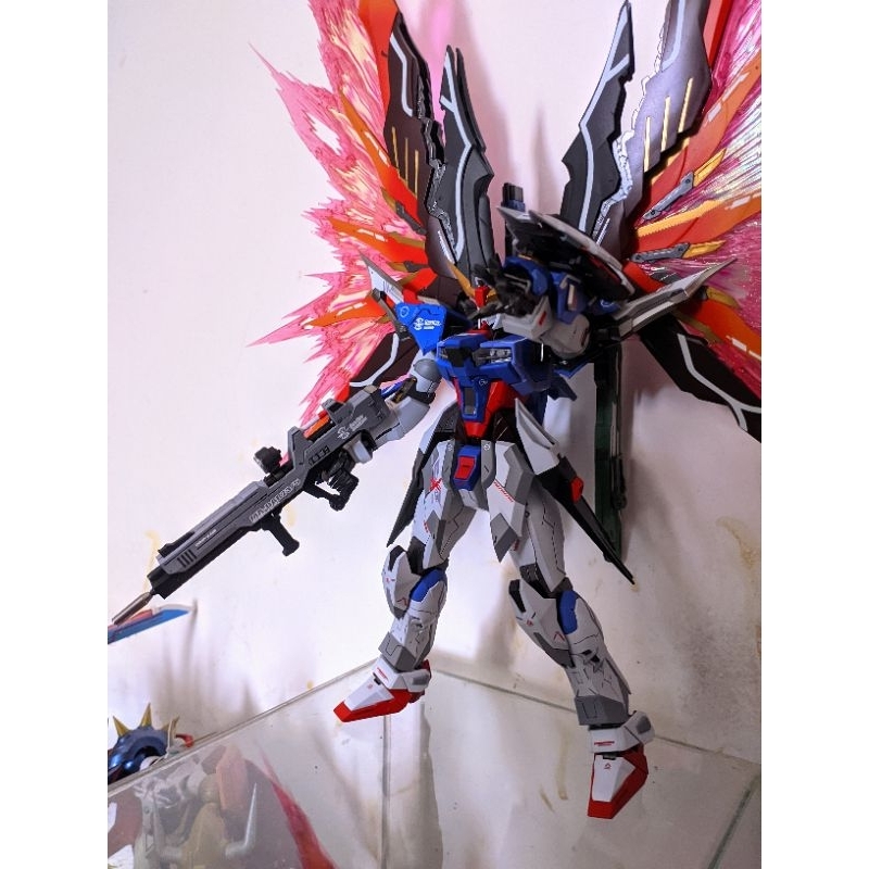 Jual MG 1/100 Destiny Dragon Momoko Dramok Repaint by Commwork Rapih No ...