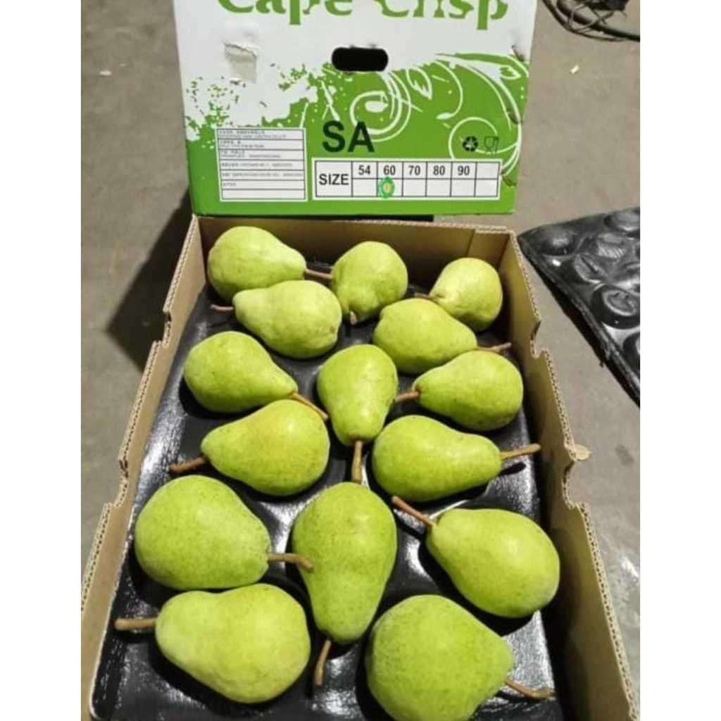 Jual pir pakam 1 kg | Shopee Indonesia