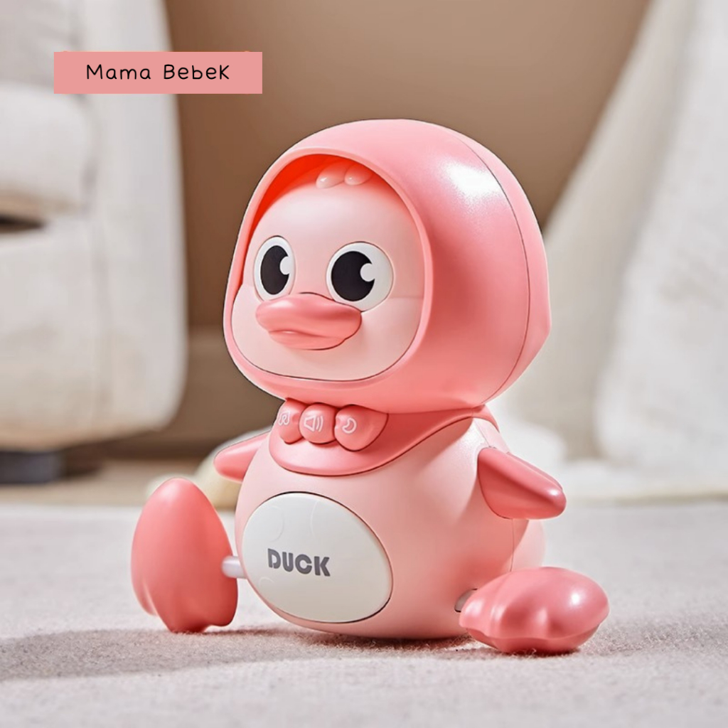 Jual Yelloo!! Mainan Anak Wobble Duck Swing Squad Pre-school Magnetic ...