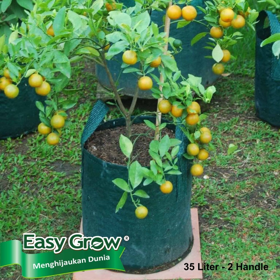 Jual Planter Bag Easy Grow 35 Liter 2 handle | Shopee Indonesia