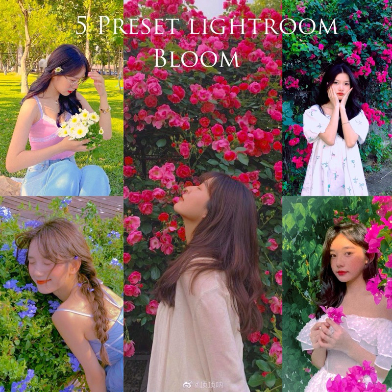 Jual EDIT FOTO PRESETS LIGHTROOM | 5 PAKET PREMIUM BLOOM AESTHETIC (iOS ...