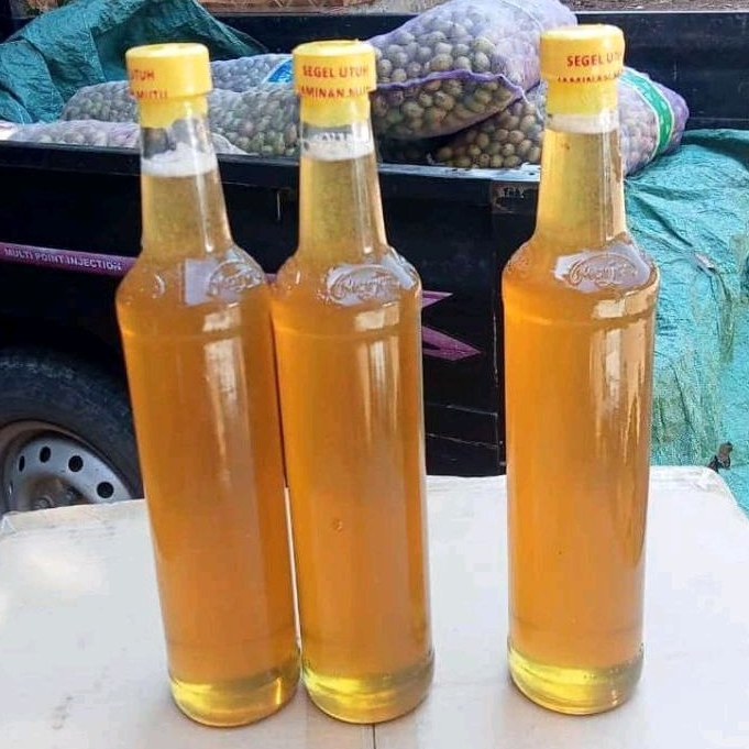 Jual Madu Asli / Madu Randu Murni kemasan botol kaca | Shopee Indonesia