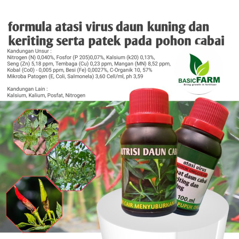 Jual Pupuk bulai cabe organik atasi daun kuning dan keriting ...