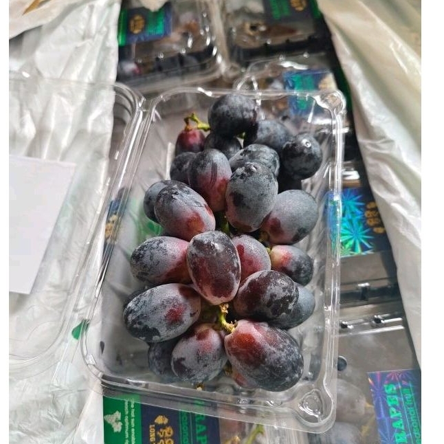 Jual Anggur Autumn / Anggur Black Autumn Pack | Shopee Indonesia