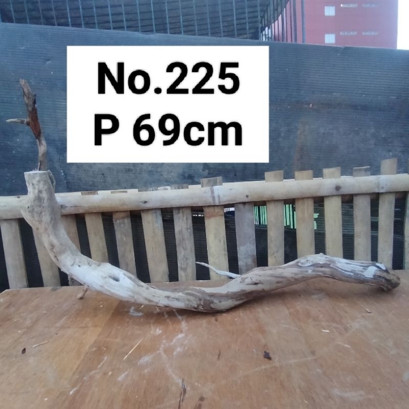 Jual akar santigi laut akar aquascape aquarium 225 | Shopee Indonesia