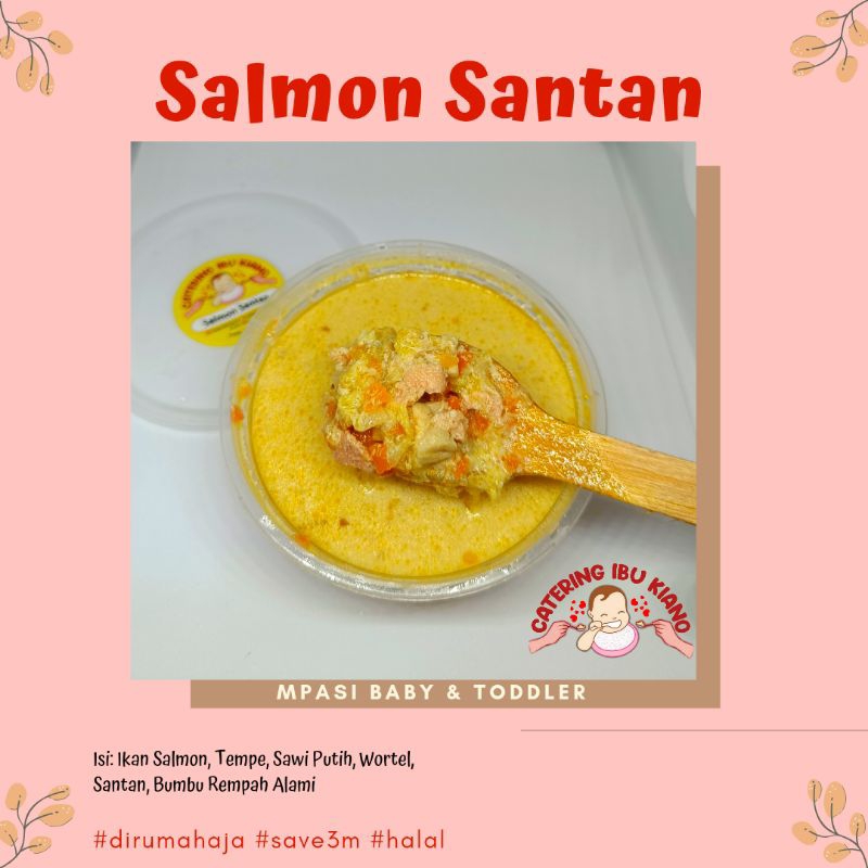 Jual Salmon Santan Catering Mpasi Bayi Frozen | Shopee Indonesia