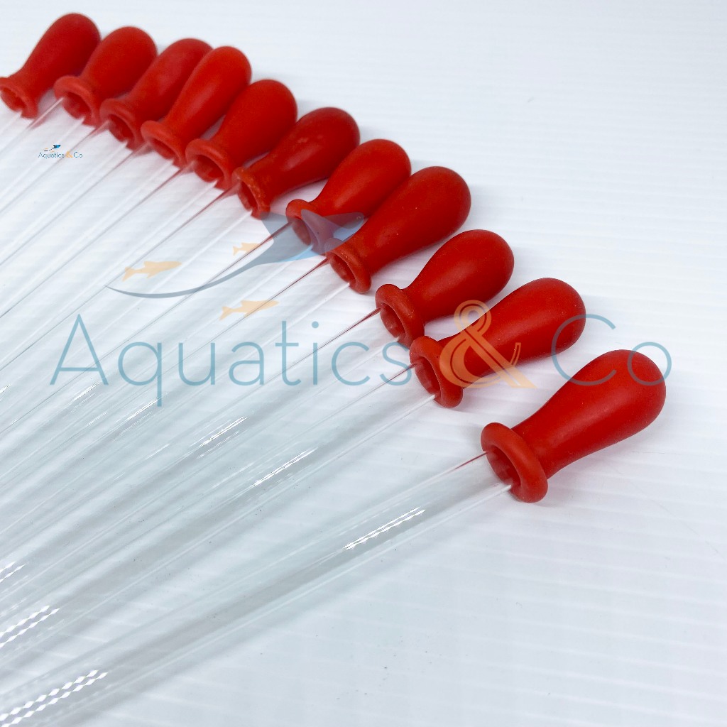 Jual Pipet Tetes Kaca 15 cm Pipet Kaca Pyrex Paster Pipet Tetes Artemia ...